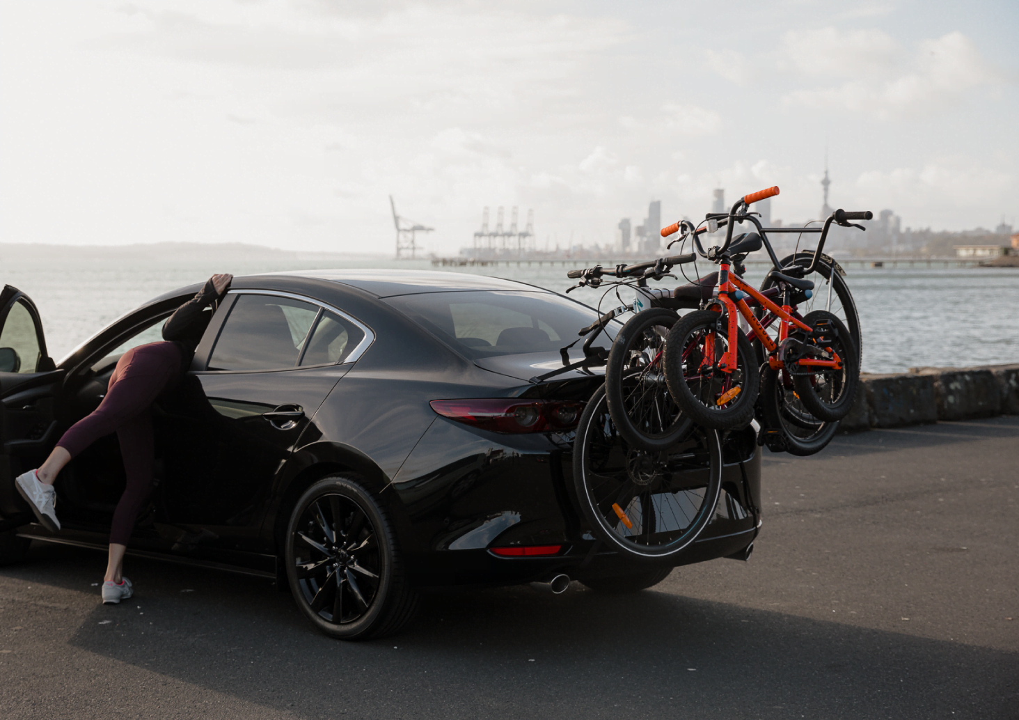 E-Rack 2 Pro - Tow Ball Mounted Ebike Rack – Ezigrip